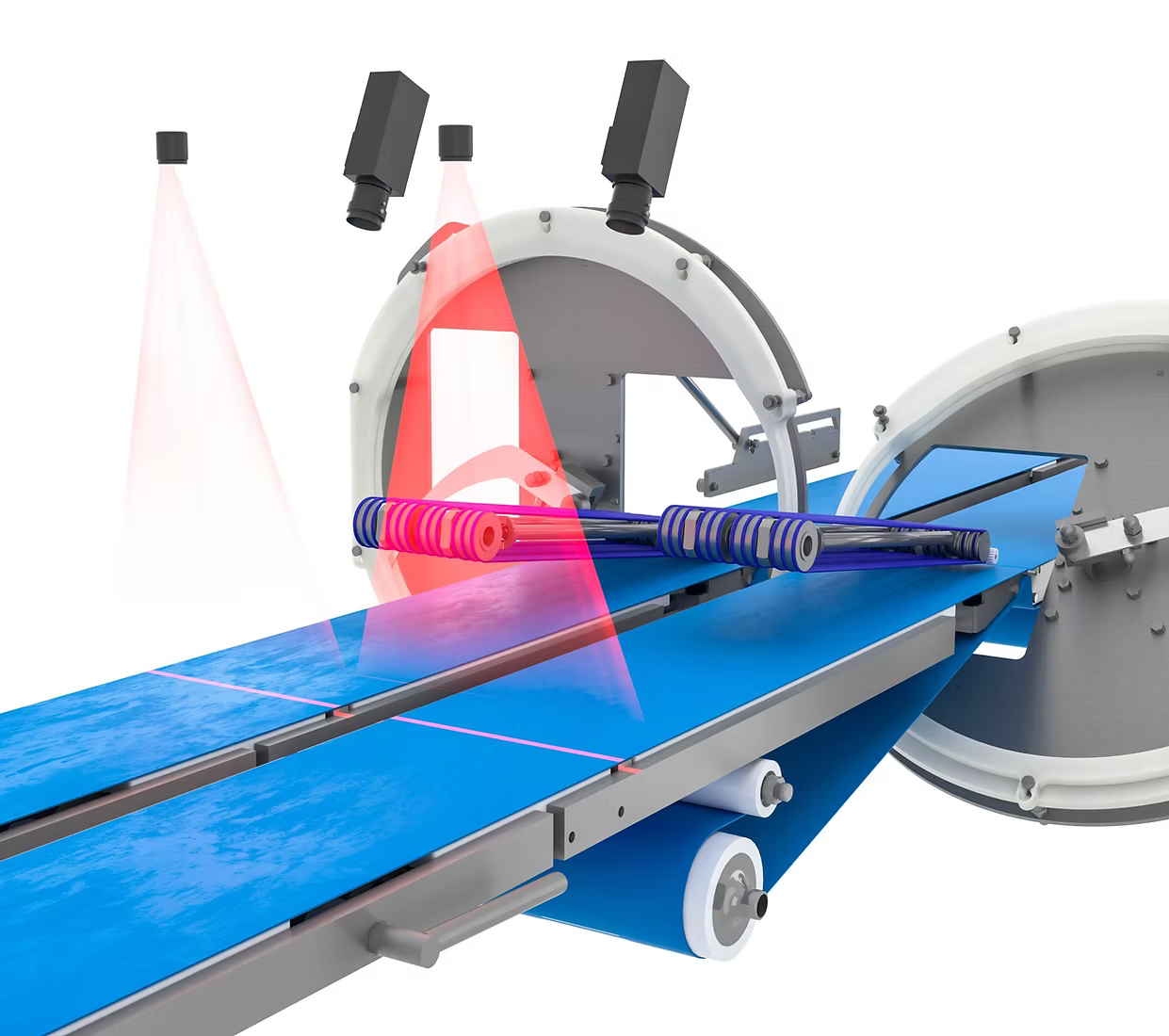 BC 225D dual-lane high-volume portion cutter | Borncut