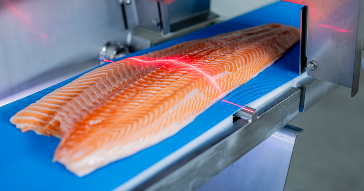 Portion fish to perfection with high-quality yield | Borncut